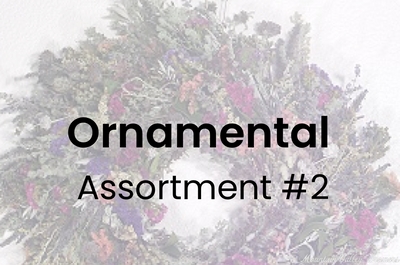 Ornamental Herb and Perennial Assortment 2 - 3 plants of 12 varieties ...